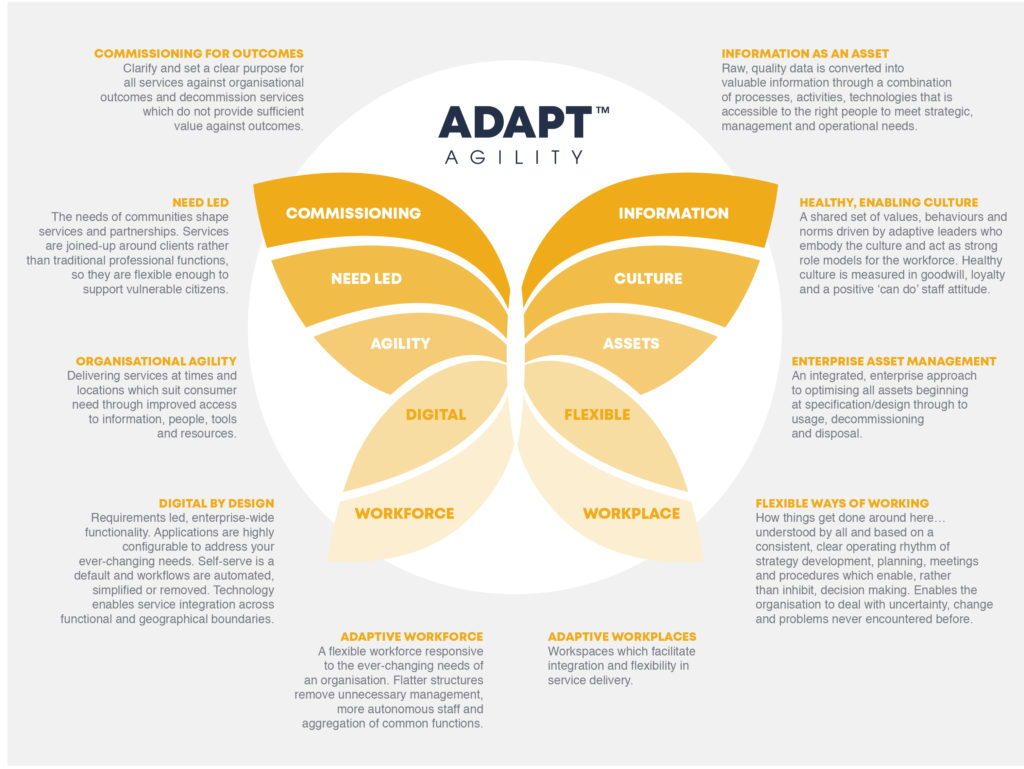 Adapt – Castlerigg Consulting