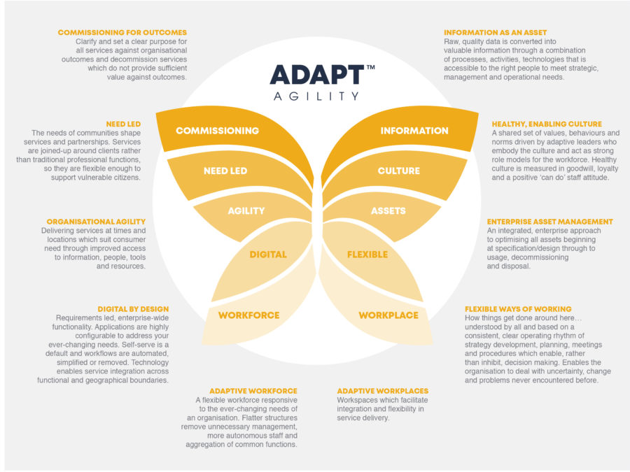 Adapt – Castlerigg Consulting