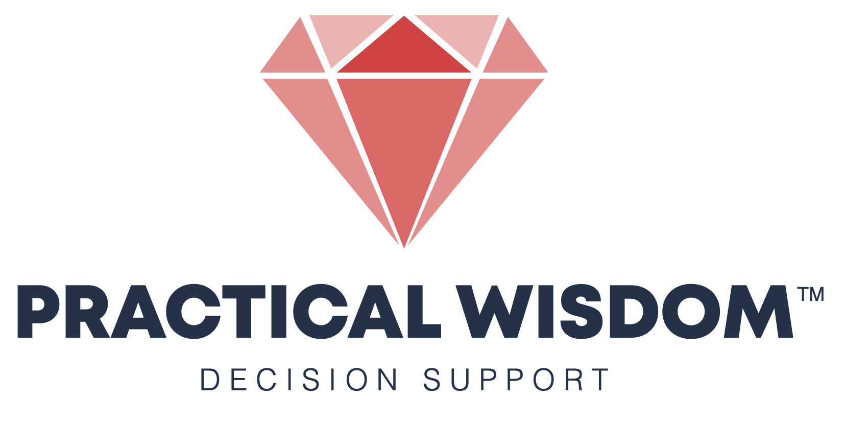 Practical Wisdom – Castlerigg Consulting